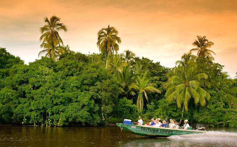 Kosta Rika seyahati: Gezilecek yerler, yapılacak aktiviteler | momondo